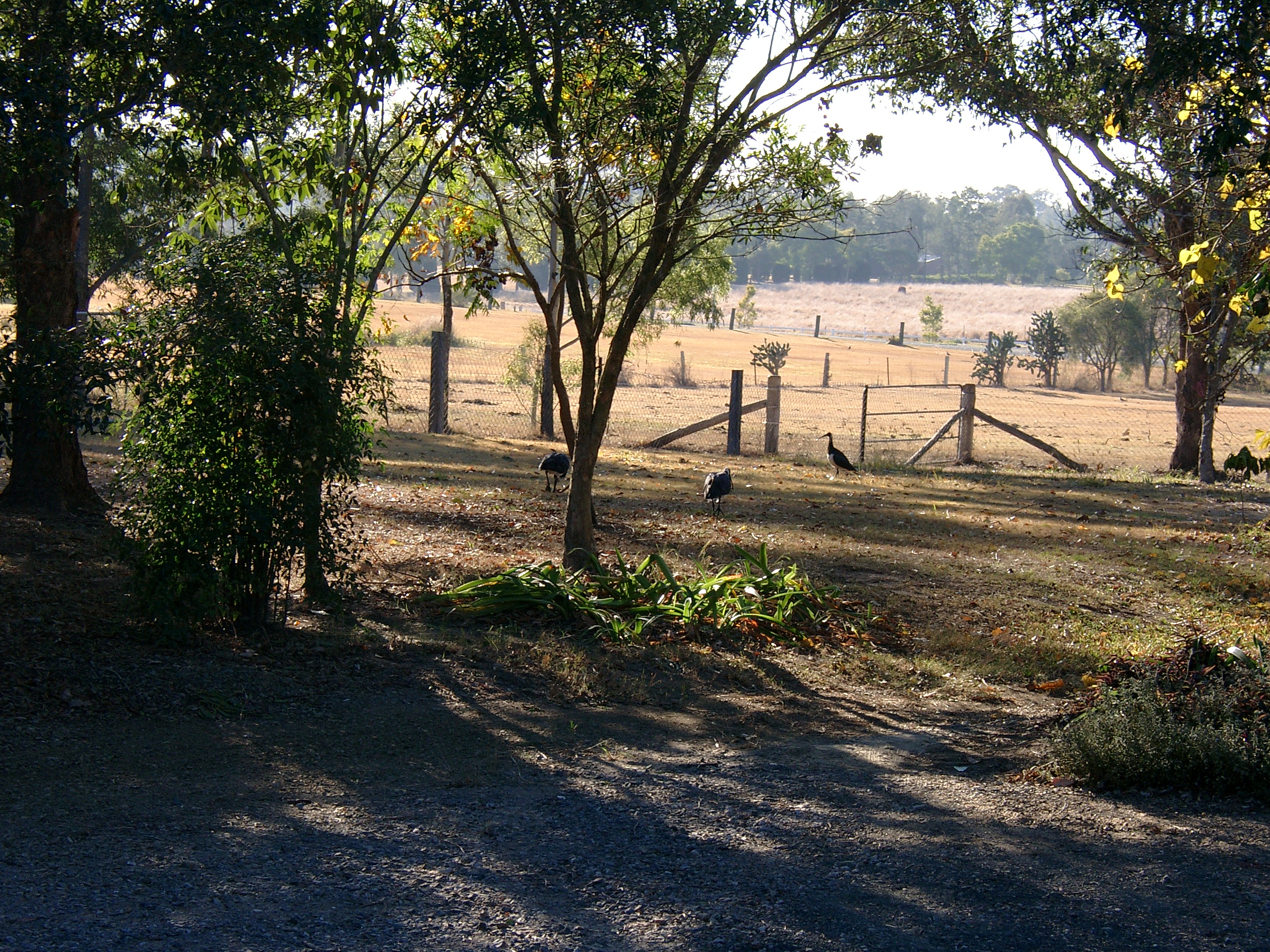 Wildlife Inventory | moggblog